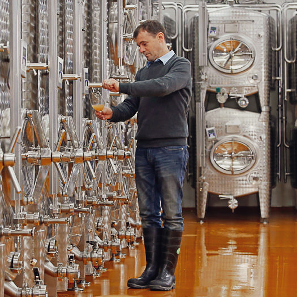 DOMAINE ALICE HARTMANN – BENELUX WINE